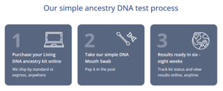 Cheapest DNA Testing Kits in 2026 - 9Ranks.com